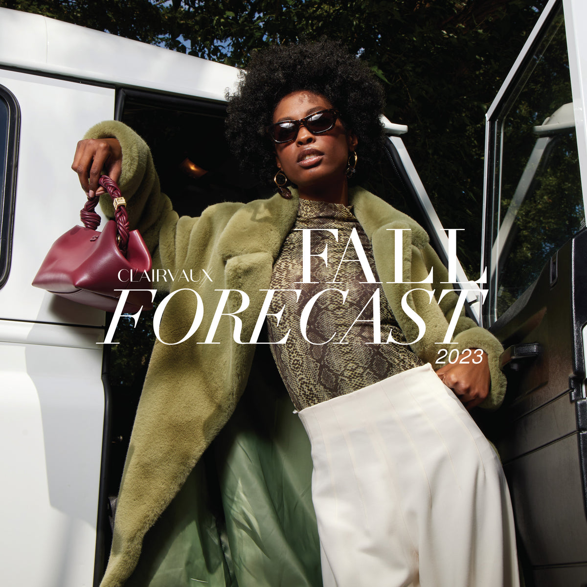 Fall Forecast 2023 – Clairvaux
